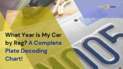 What Year is My Car by Reg? Instantly Check Vehicle Age
