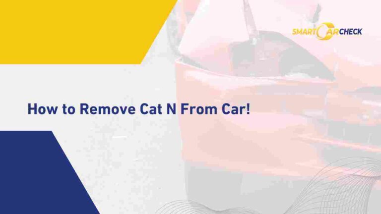 How to Remove Cat N From Car? Is it Possible?